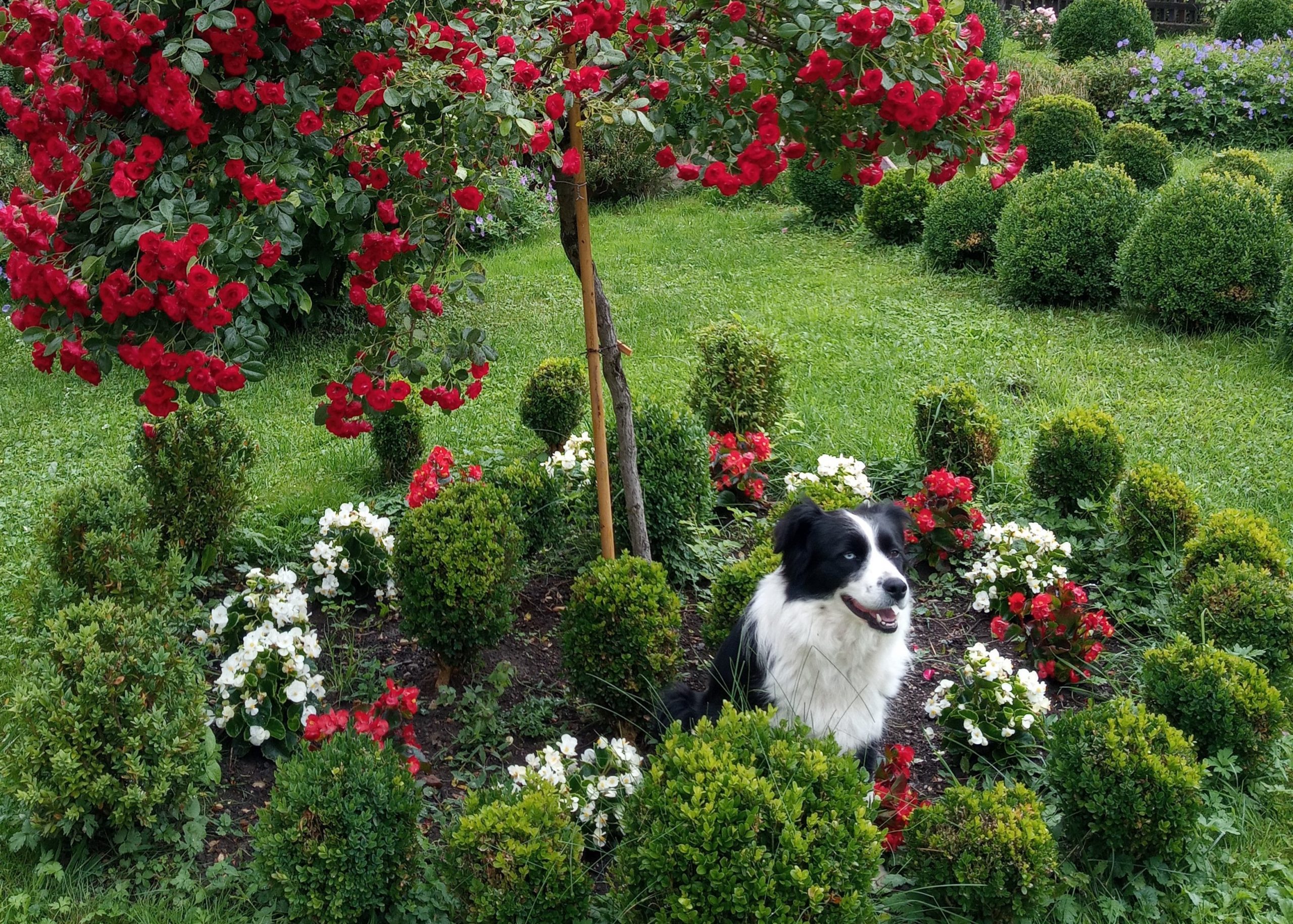 Rožni Dvor - Visit Koroška